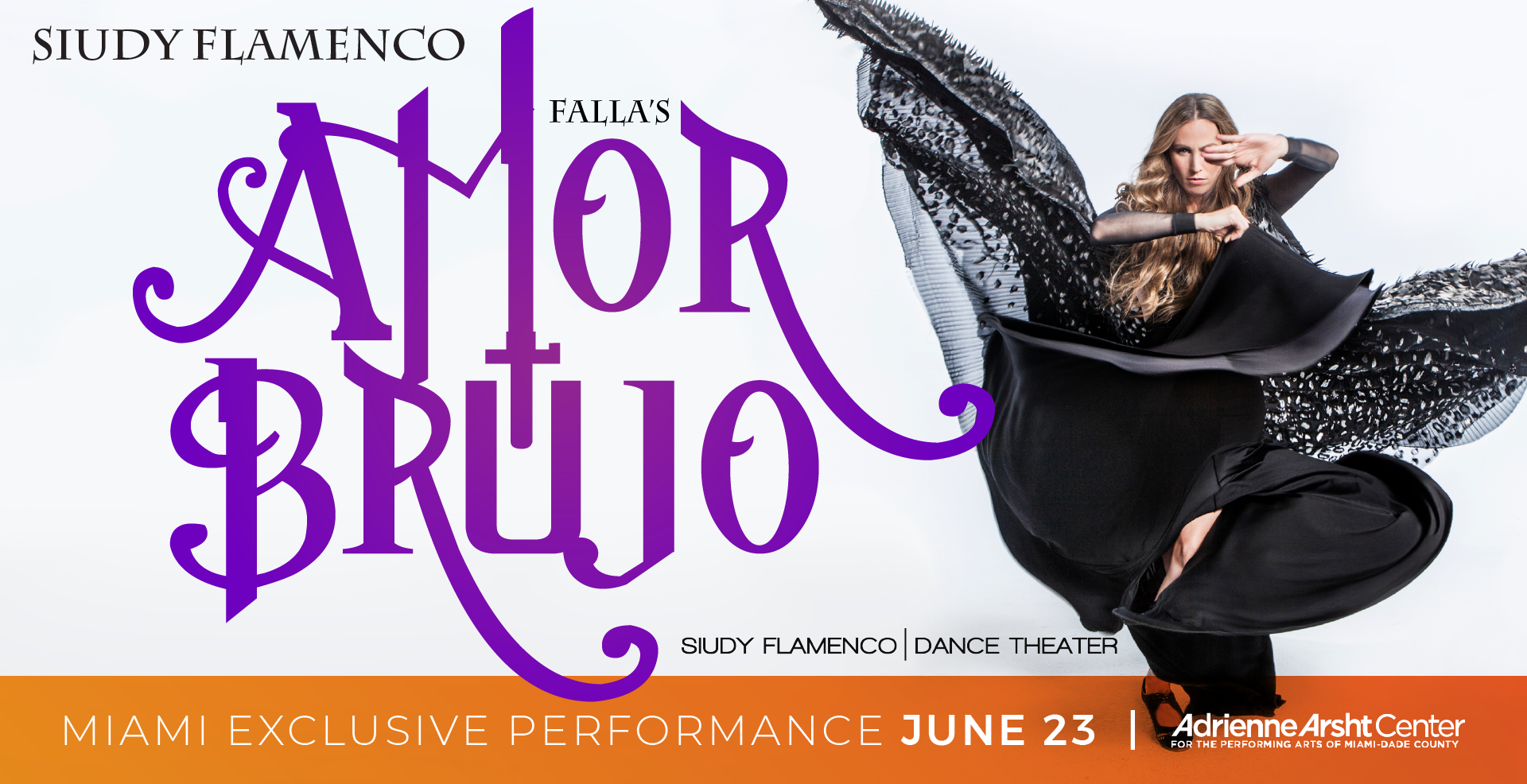 SFSO Featured Concert Banner WIP 1920x1000 px-01 • SFSO